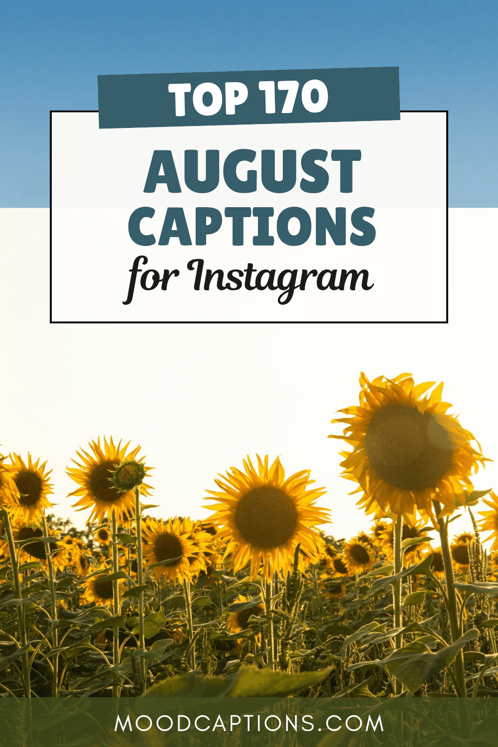 170+ August Captions for Sunny Days & Summer Memories